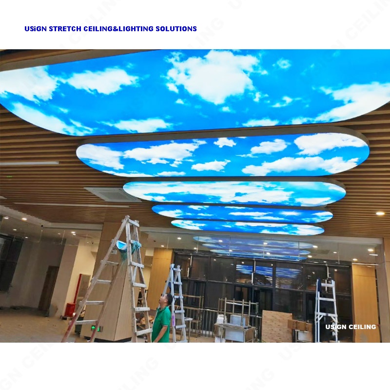 Cloud Ceiling