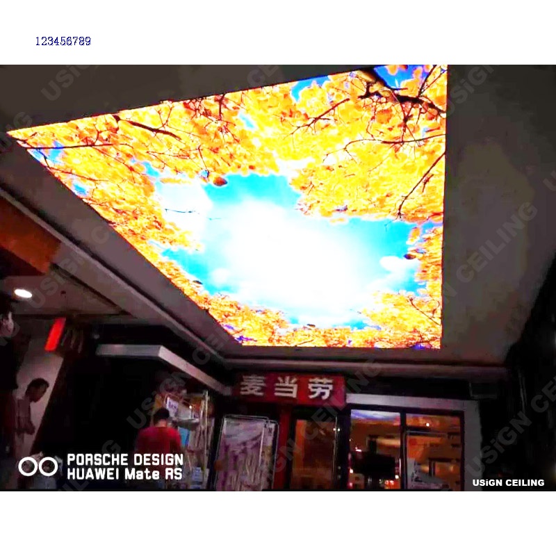 UV Printing Ceiling